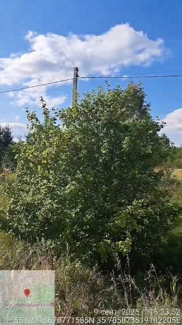 д. Антоново 50:18:0040111:1184