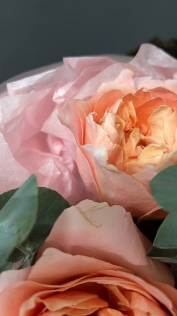 Букет из пионовидных роз с эвкалиптом / арт. 3534