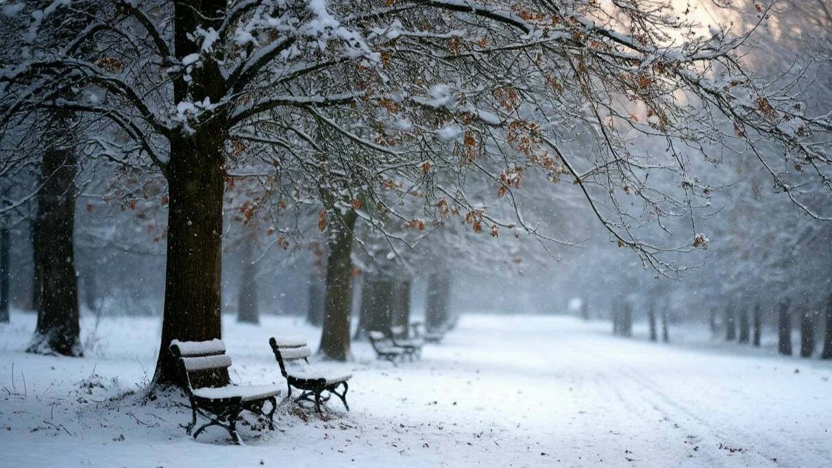 Снежный плен