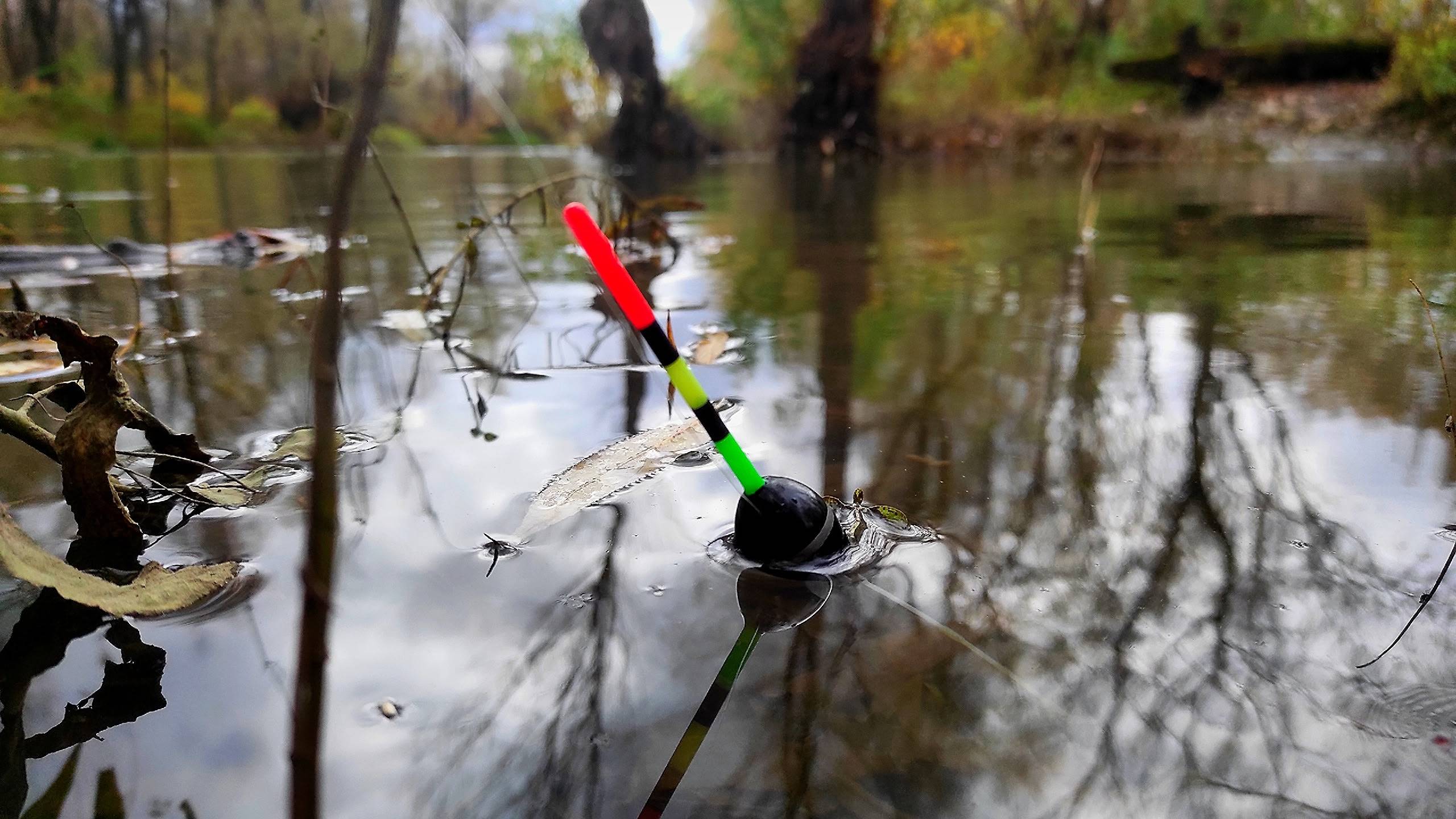ПОЗДНЯЯ ОСЕНЬ УДИВИЛА! Попал На КРУПНЯК в Протоке у ДОМА! Рыбалка на поплавок 2025