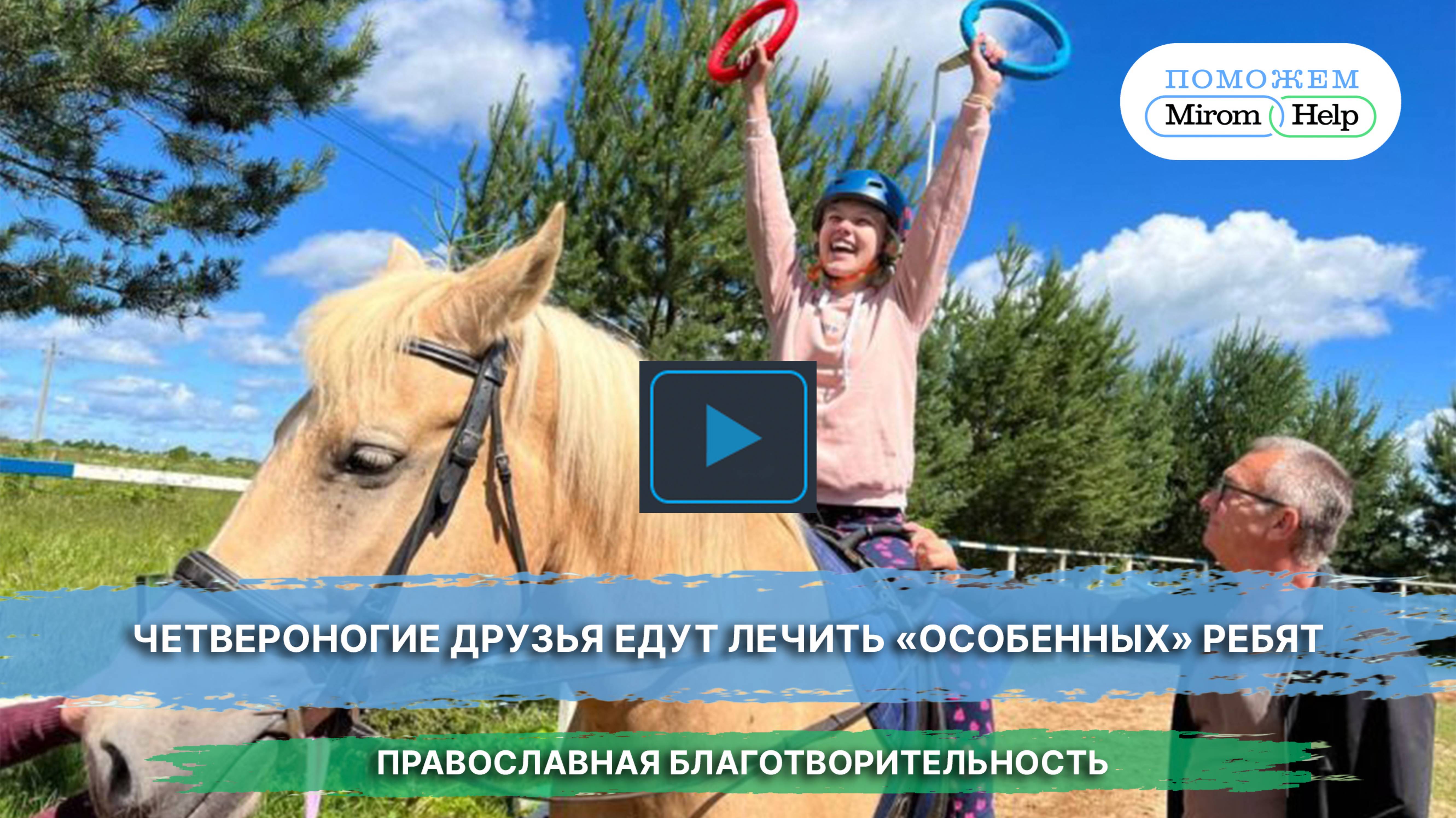 Четвероногие друзья едут лечить «особенных» ребят