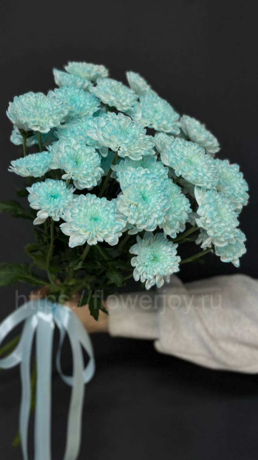 Букет из голубых хризантем, 7 шт. / арт. 3527