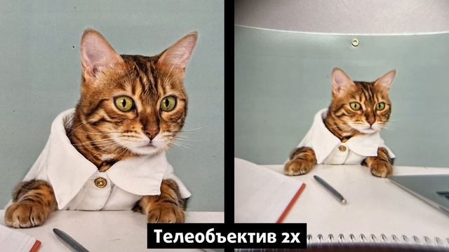 Набор объективов для смартфона Levenhuk Lens S10 | Четыре глаза – видеообзор