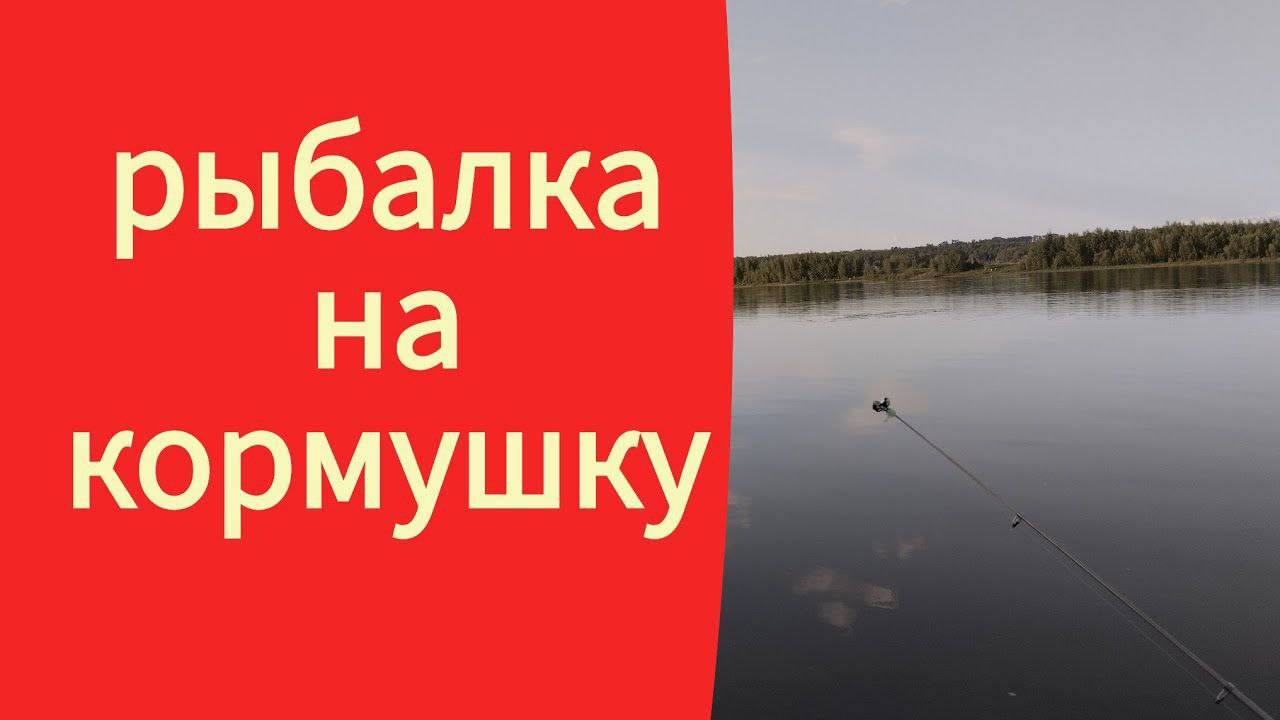 рыбалка на кормушку