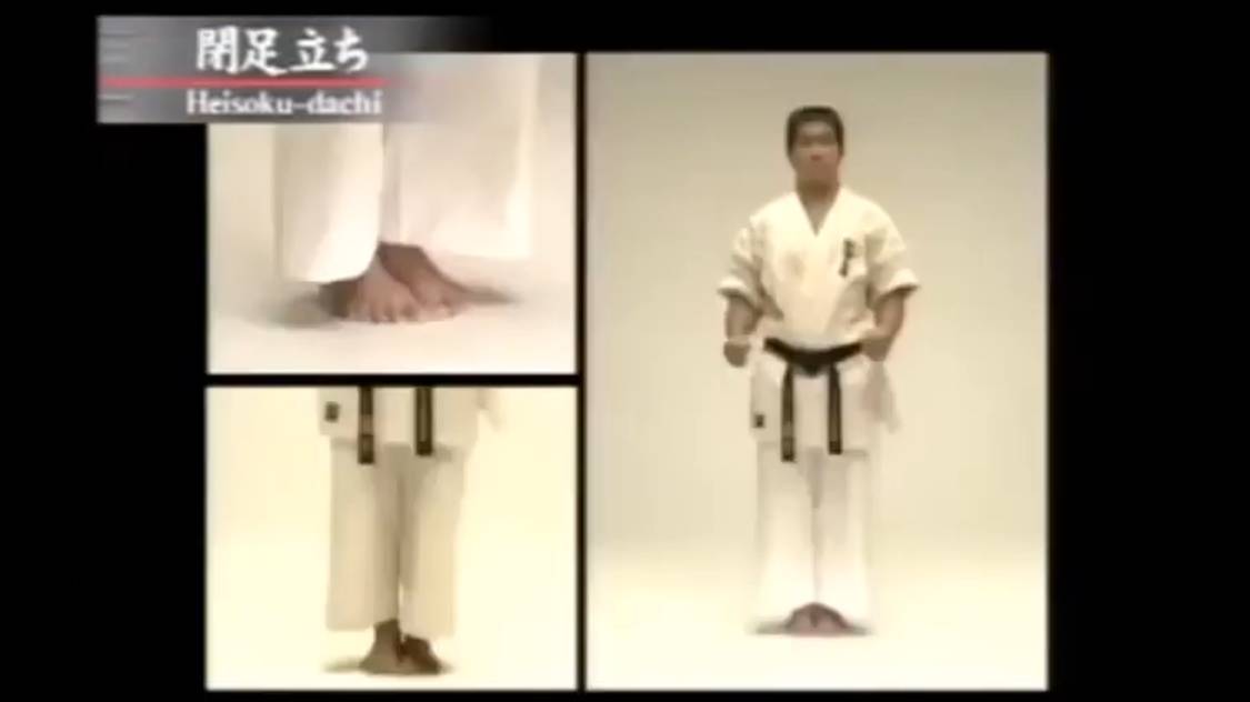Стойки в карате кёкусинкай (дополнение)