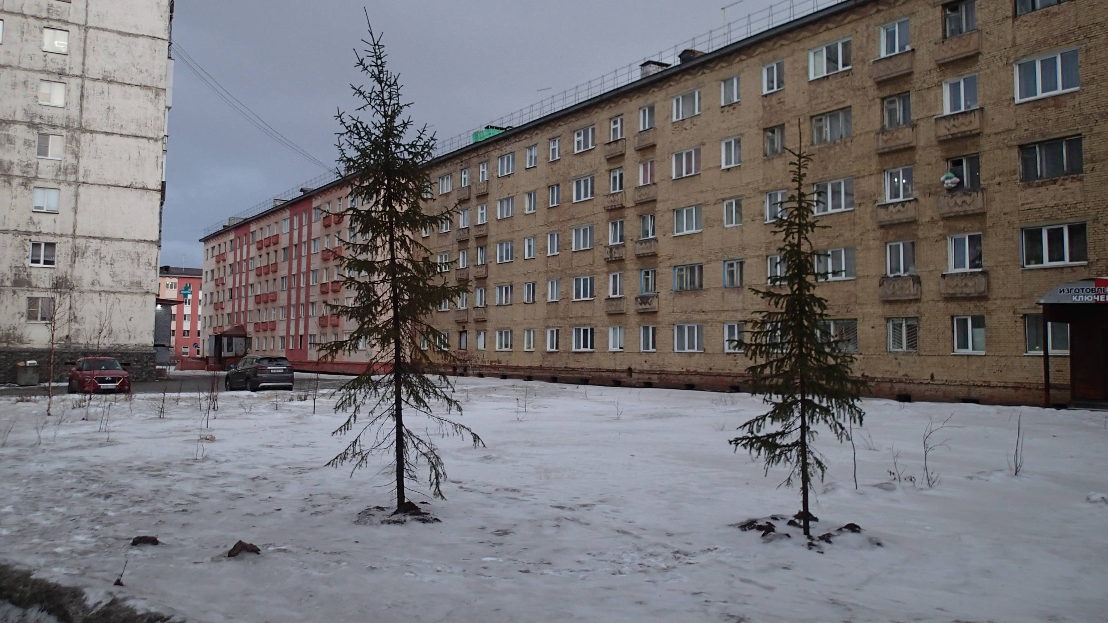 2025.10.21. Озеленение Норильска, Ленинский пр-т 33А. Итоги декады в описании.