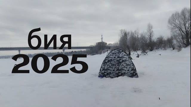 первая рыбалка на реке Бия в 2025 году