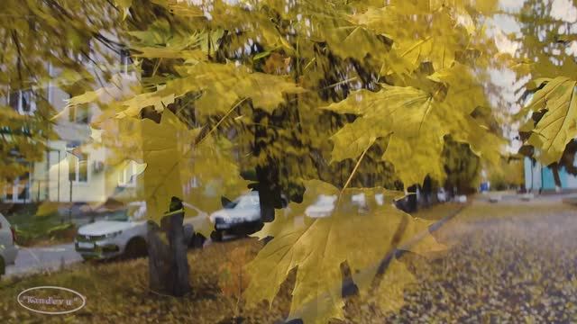 " Листья желтые над городом .... "   Музыкальная шкатулка .