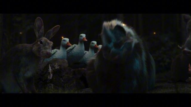 Пушистые каникулы - 2025 (10)