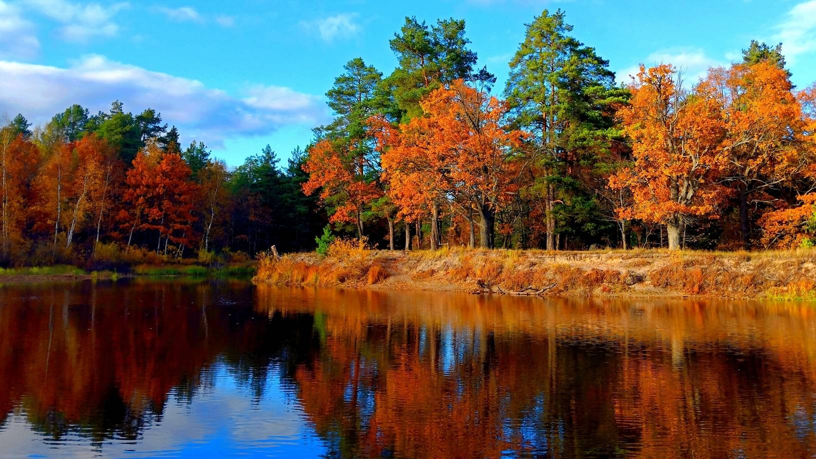 ОСЕНЬ НА ПРЕ (ДЕУЛИНО)