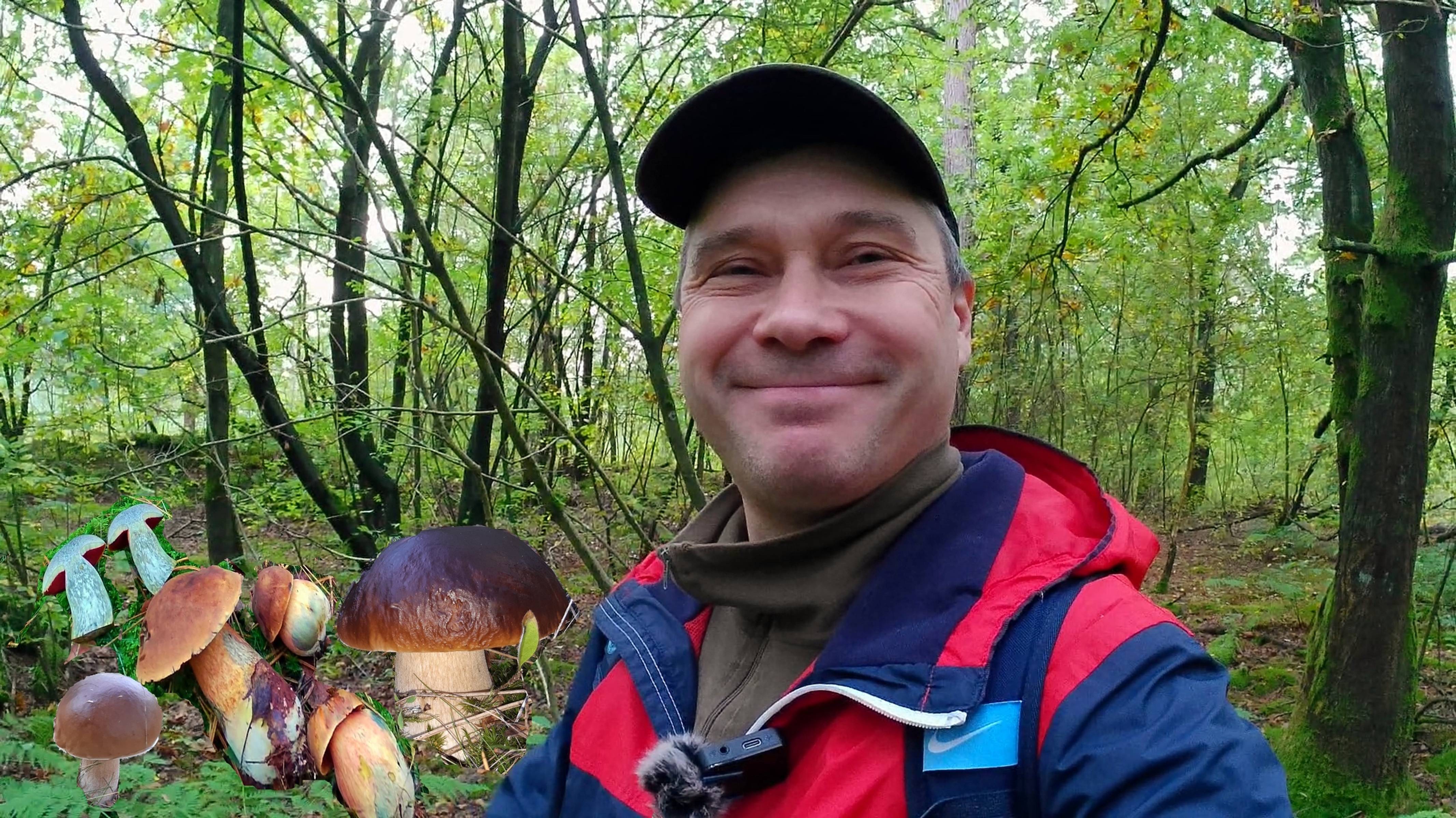 Грибной лес. Пошла вторая волна. Дубовик крапчатый.