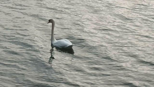 Голубые озёра-2