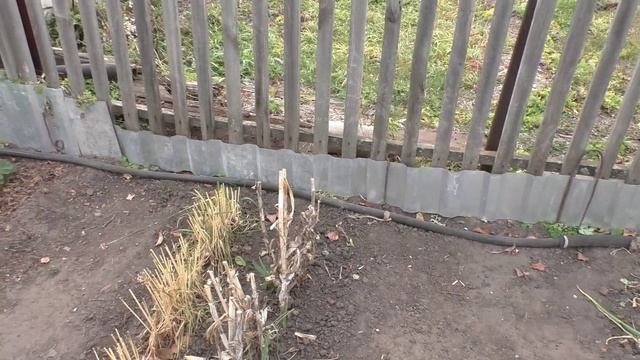 Участок в конце октября