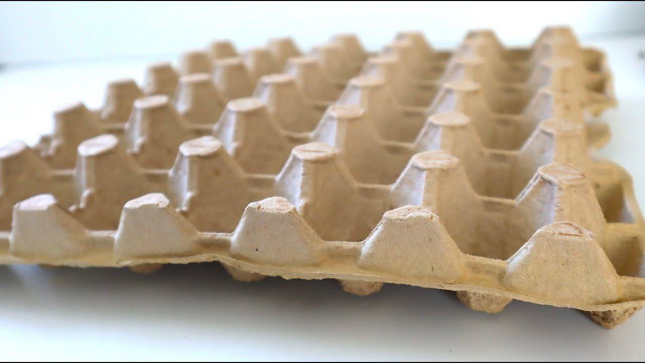 Не выкидывайте лотки из-под яиц. Покажу, какую красоту можно смастерить из этого добра