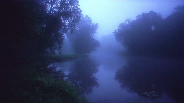 A playlist for whispered dreams..