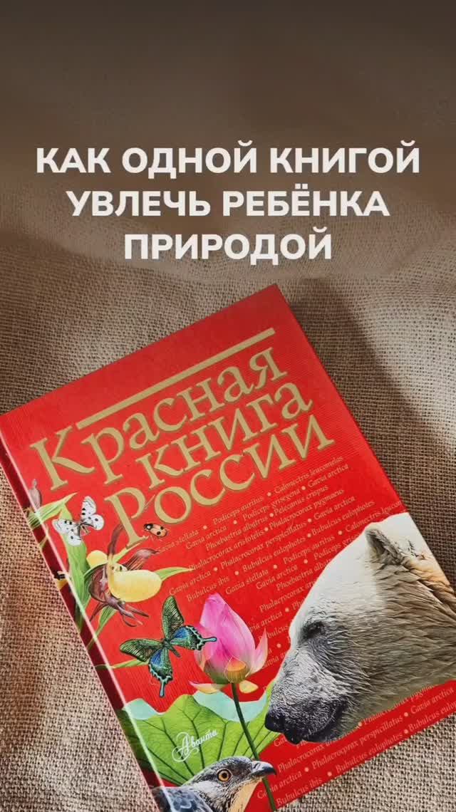 Как увлечь ребёнка природой 🐻❄️🦨🦥