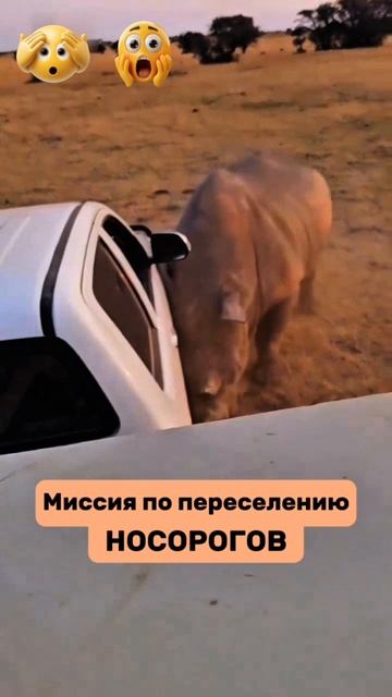 Привезли не по адресу