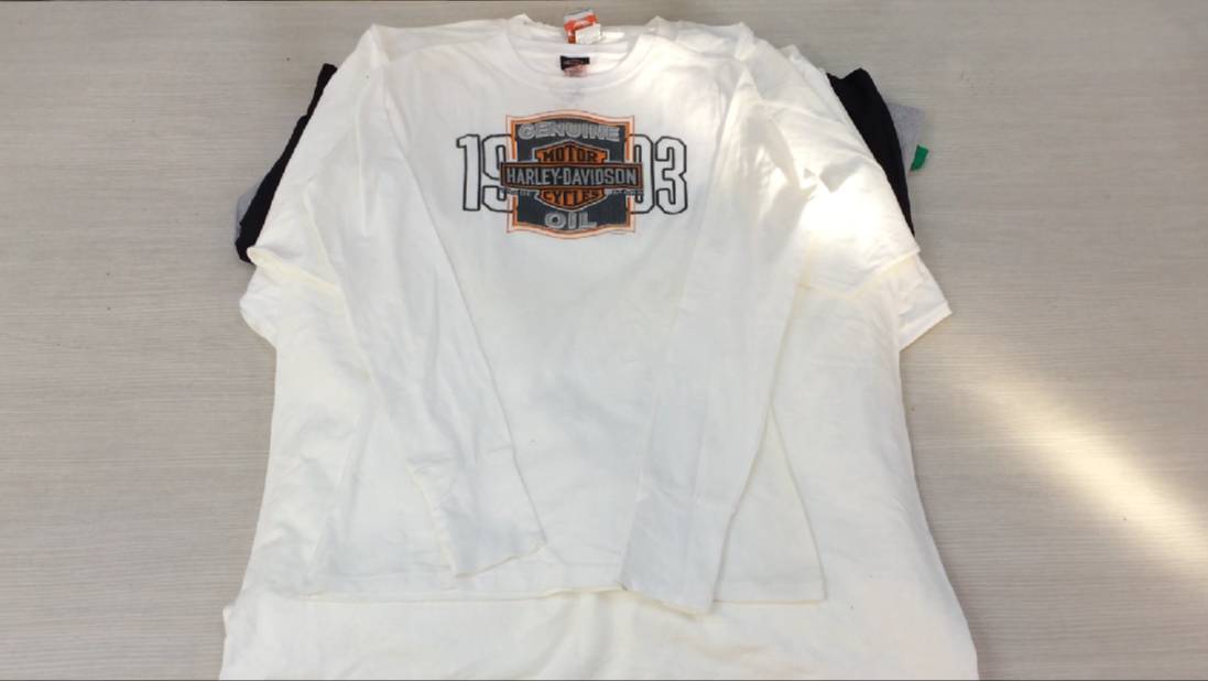 сти314. Футболки Harley-Davidson сток категория В