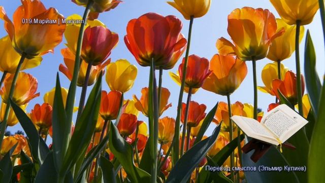 19.Сура "Марьям"( Мария )[ Смысловой перевод ]