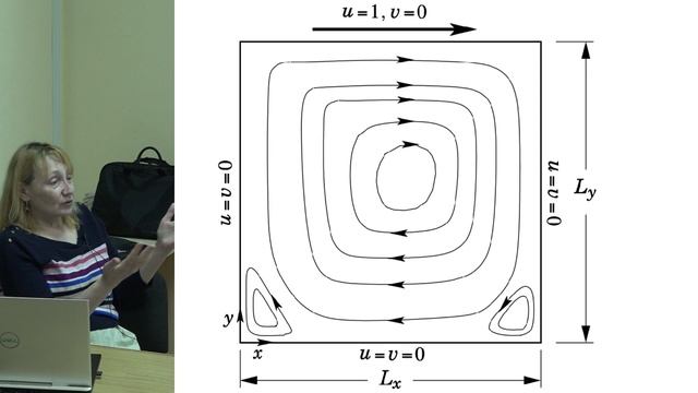Муравлева Л.В. - Механика неньютоновских жидкостей - 4. Квазиньютоновские жидкости: численные методы