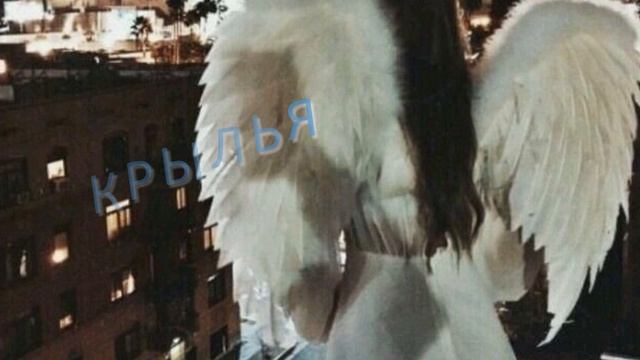 КРЫЛЬЯ - Жанна Вишнякова Арс