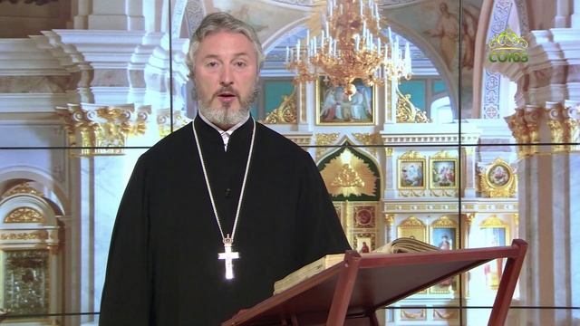 Церковный календарь 24 октября. Преподобный Феофан, епископ Никейский