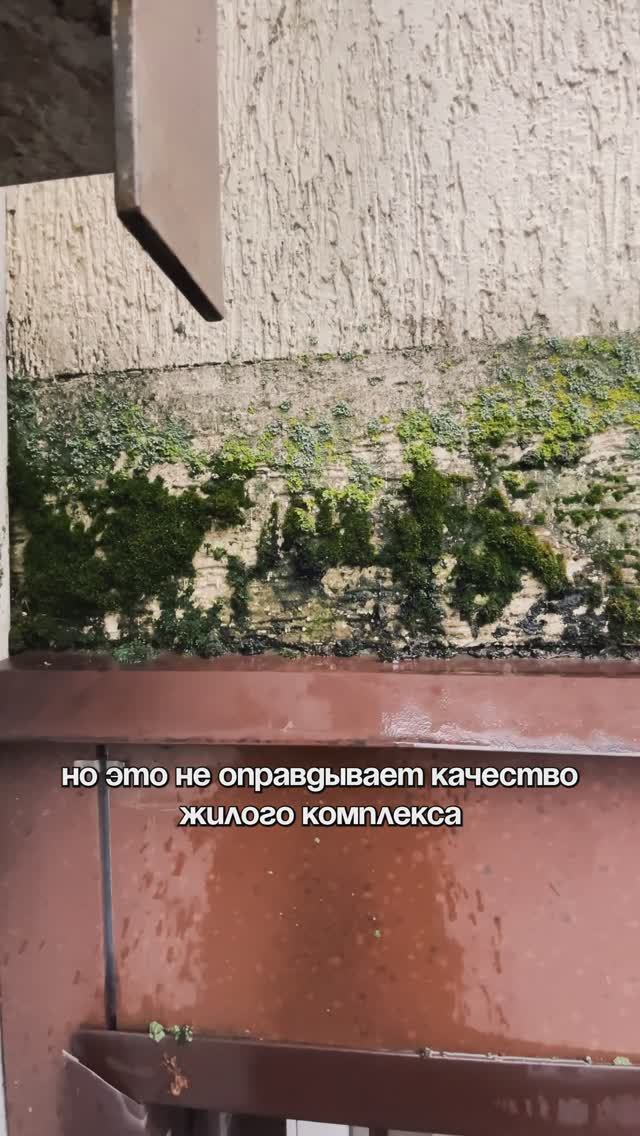 Картонные дома Краснодара #командакравченко #shorts