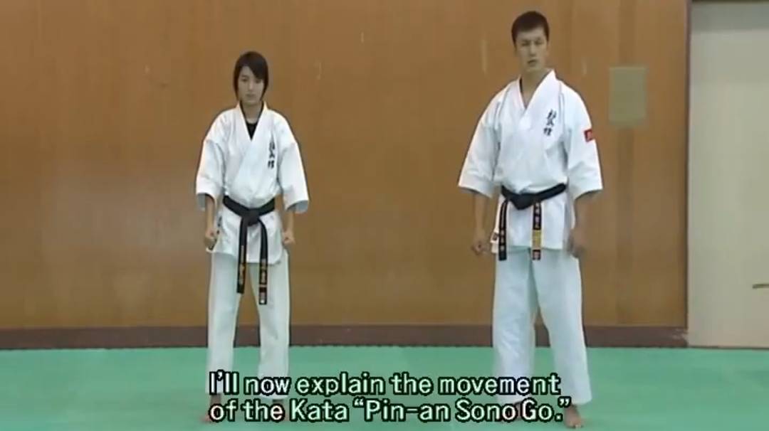 Пинан Соно Го - объяснение Ката Карате Кёкусинкай (Kata Explanation - Pinan Sono Go)