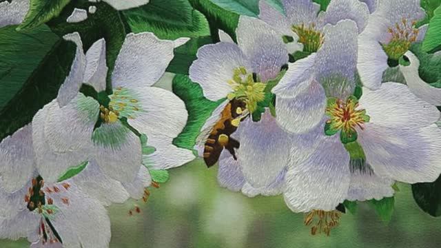 НЕЖНОСТЬ  ( из архива )