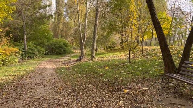 Украина 23 октября! Что случилось в Киеве сегодня! (Саша)