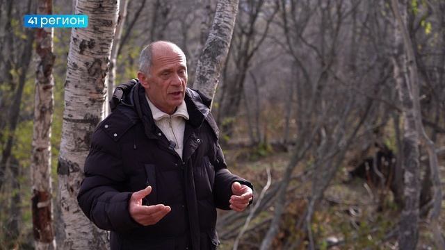 ЭКСПЕРТ: КАК ДЕЙСТВОВАТЬ ПРИ ВСТРЕЧЕ МЕДВЕДЯ В ГОРОДЕ • ПРЯМАЯ РЕЧЬ