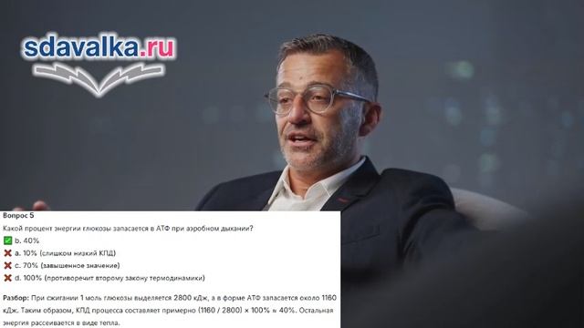 Биология 9 класс. Урок 4. Тест 2. Обмен веществ в клетке. Бесплатная подготовка к ОГЭ. Sdavalka.Ru