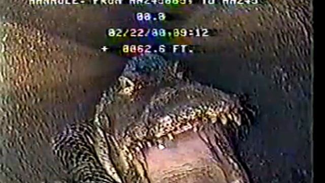 Телеинспекция трубопроводов