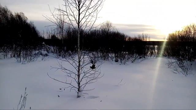 Прогулка на лыжах