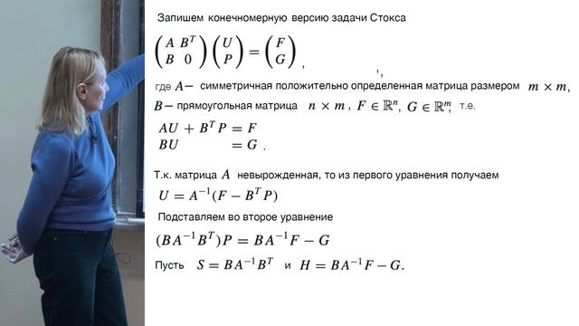 Муравлева Л.В. - Механика неньютоновских жидкостей - 3. Вязкие жидкости: численные методы