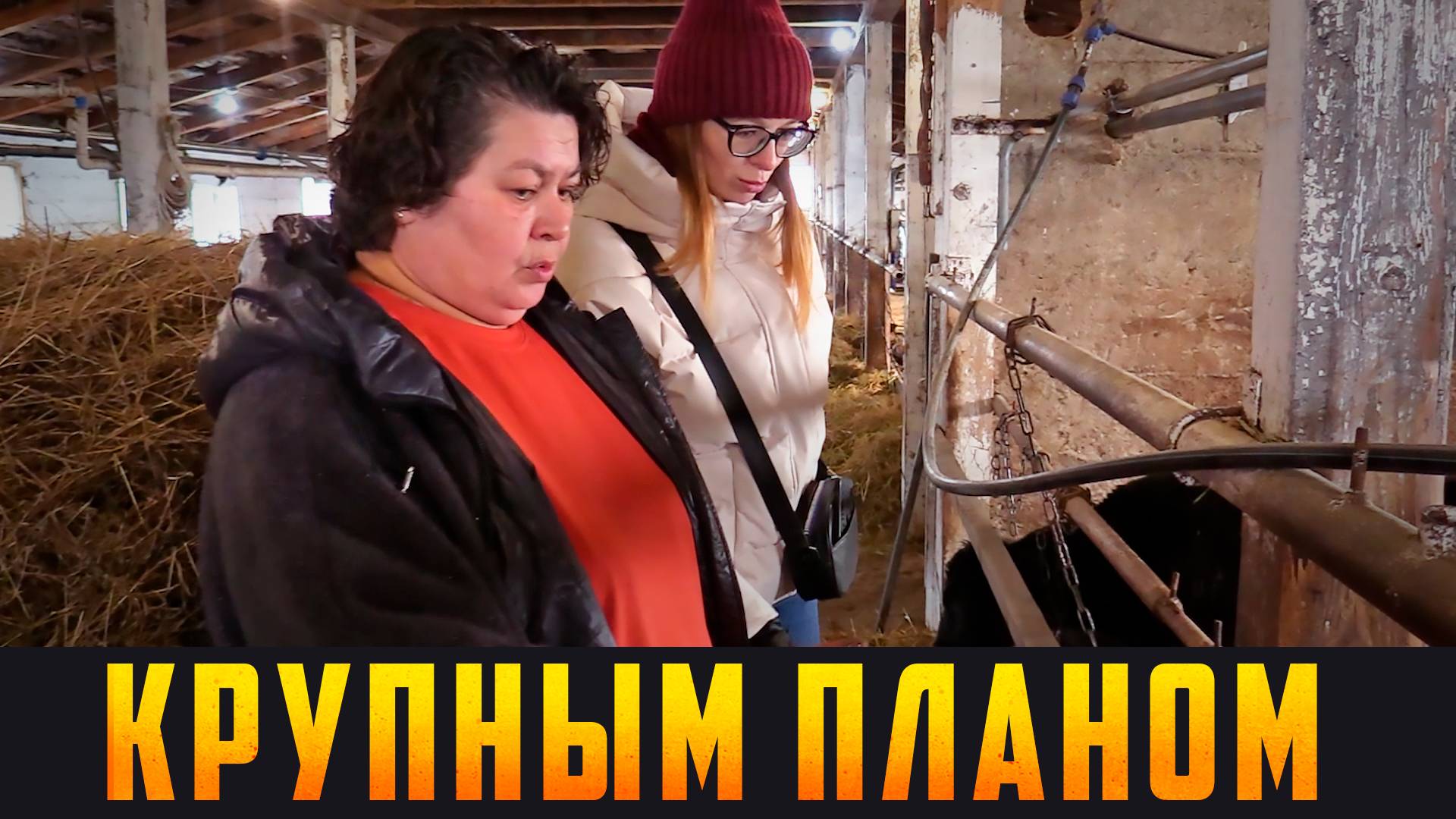 КРУПНЫМ ПЛАНОМ - Семейное дело. Выпуск 24.10.25 (12+)