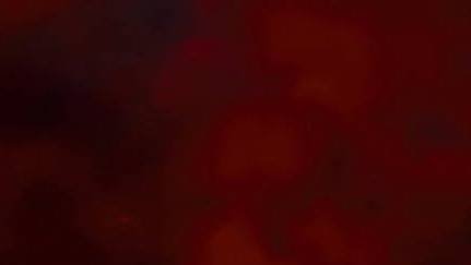 PUBG🔥 Играю.👍🏻