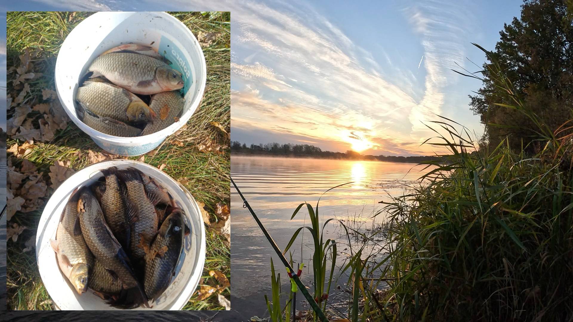Поймали 2 ведра карасей Рыбалка 2025 часть 6