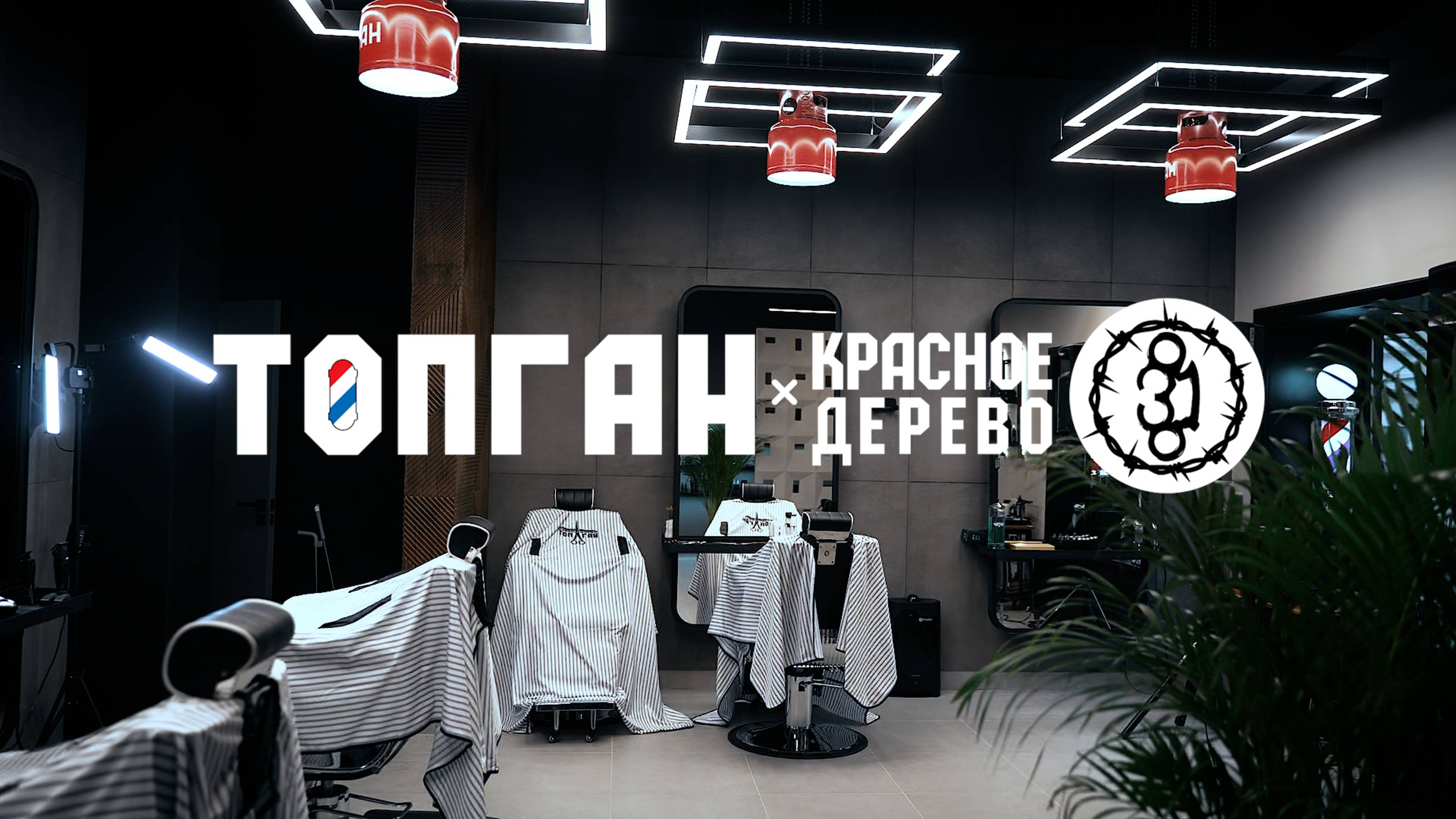 Открытие ТОПГАН х Красное дерево 🔥