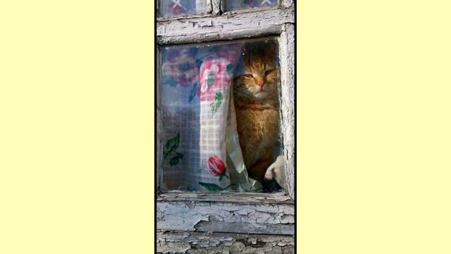 Советского вам настроения на целый день (1 часть).