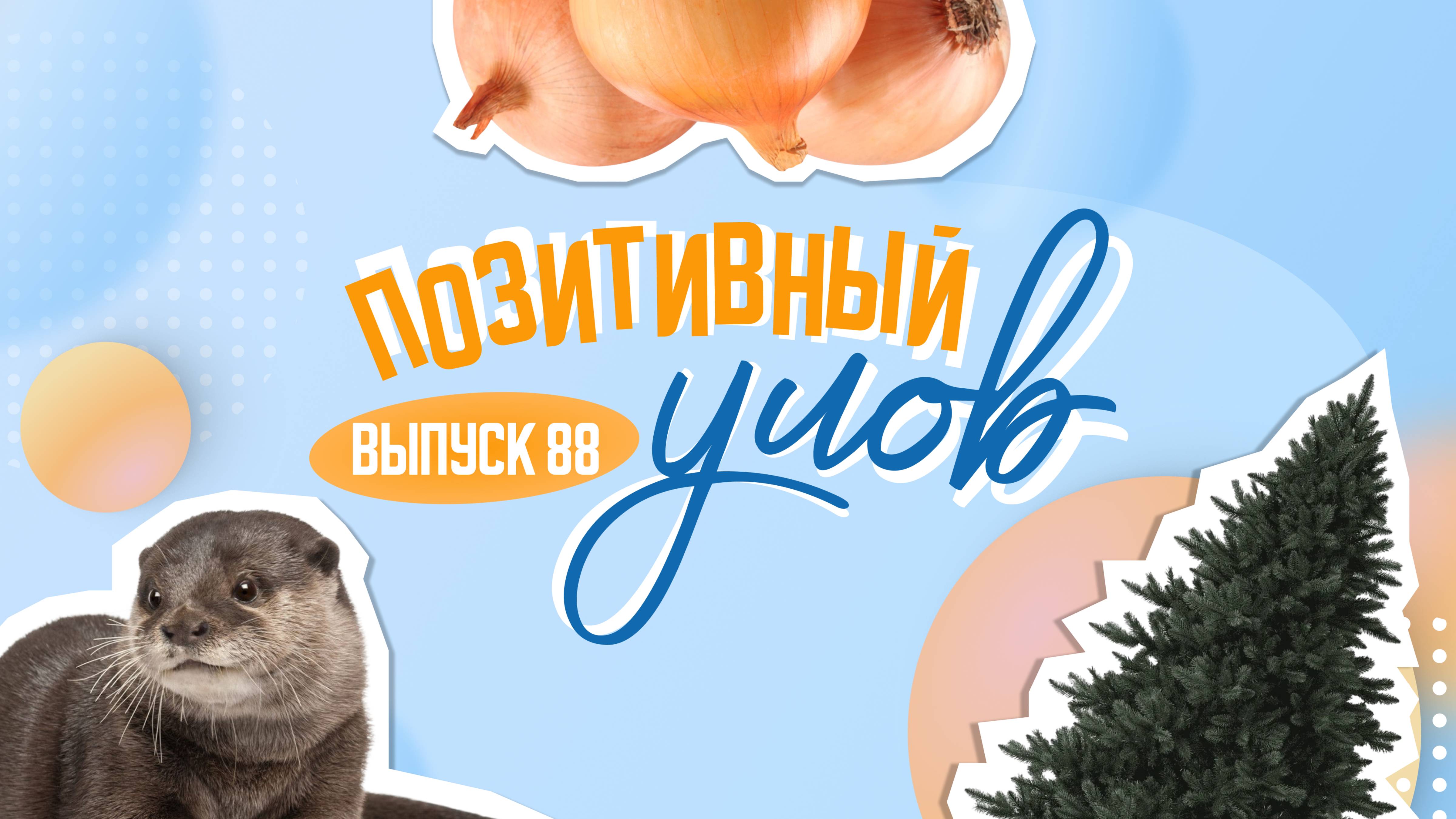 Алименты на кота и собака-спасатель. "Позитивный улов"