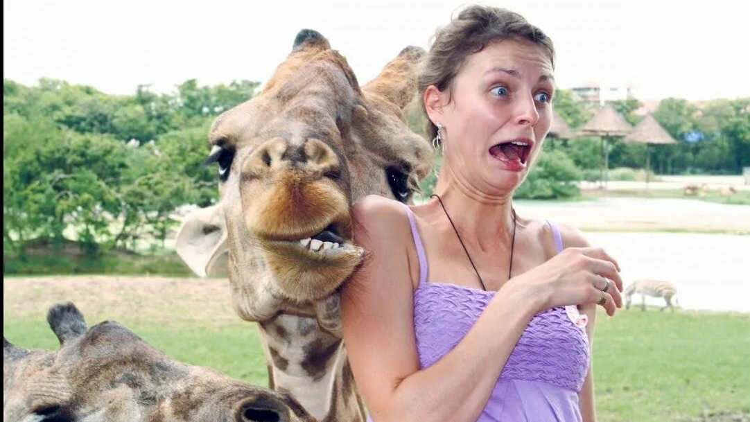 ПОДБОРКА ЛУЧШИХ ПРИКОЛОВ МЕМОВ ЮМОРА И ДЕВУШЕК 😋 ЗА 2025 ГОД