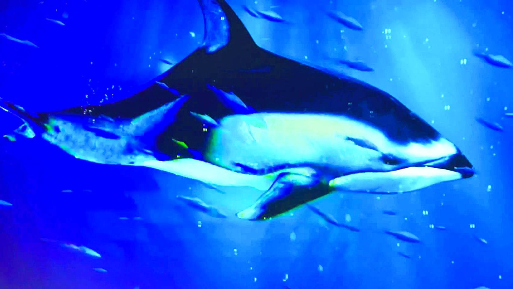 Нашёл КЛЁВОЕ место!!!