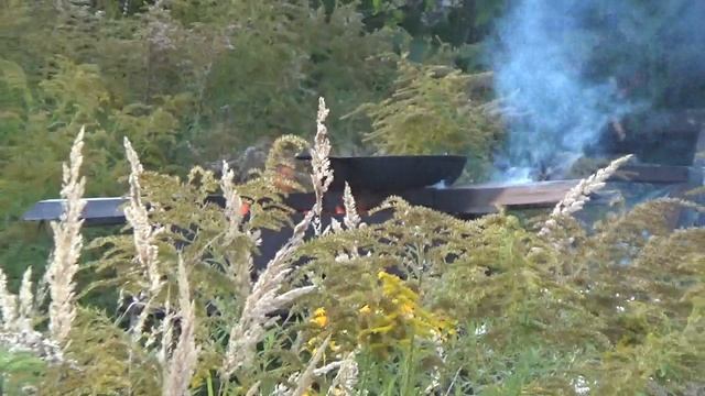 Как у нас в садочке выросли цветочки. Мангал.