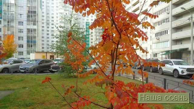 Наша осень