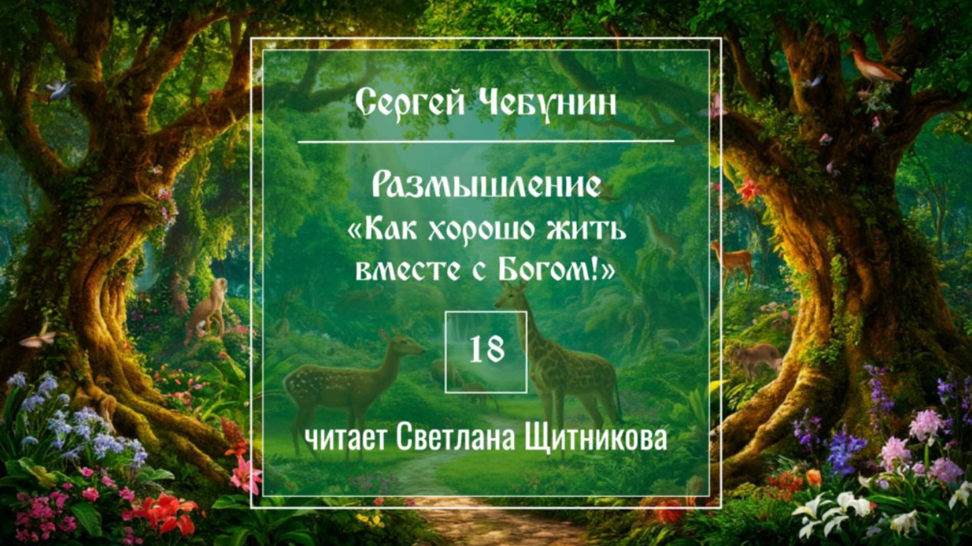 Размышление 18 (автор Сергей Чебунин, читает Светлана Щитникова)