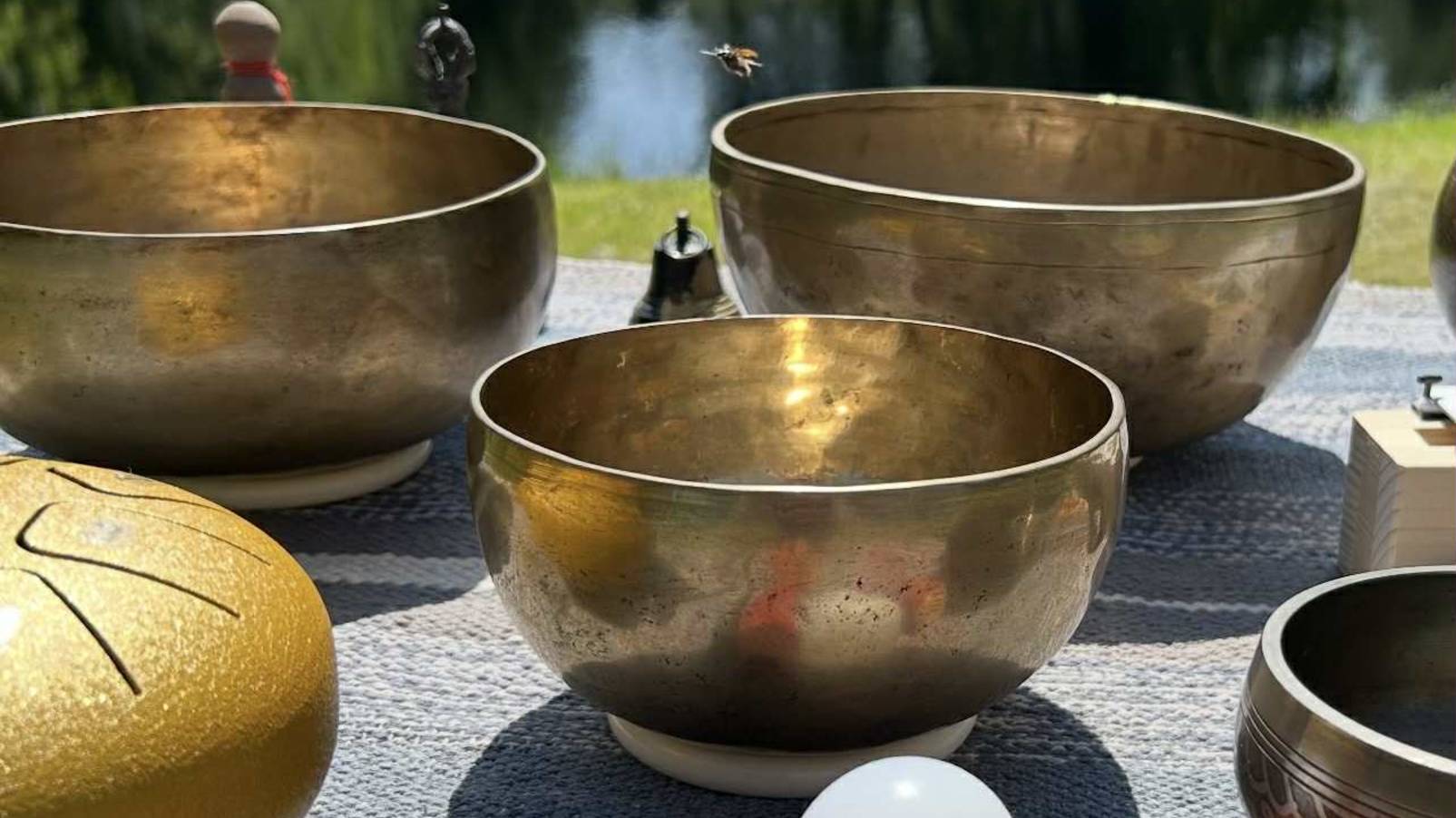 Звук и тело