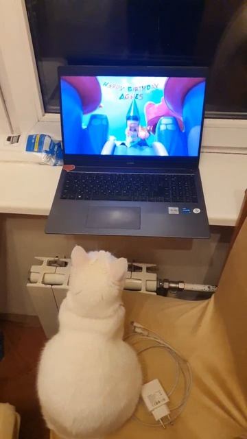 Милка смотрит мультфильм