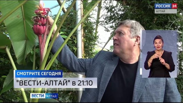 «Вести Алтай» за 24 октября 2025 года с сурдопереводом