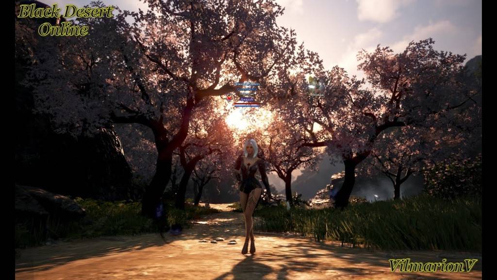 BDO ч.6 (Тоса при фарме в Кратуки) ПВЕ Гайд:скилы,морфы (наследие)